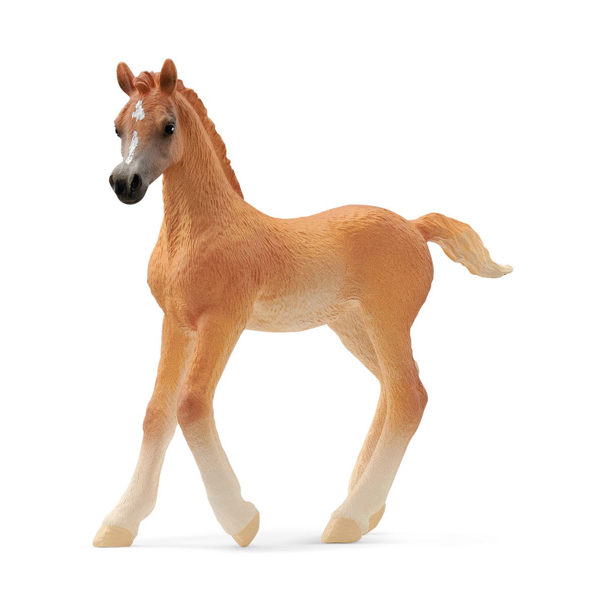 Poulain Arabe 13984 HORSE CLUB | schleich