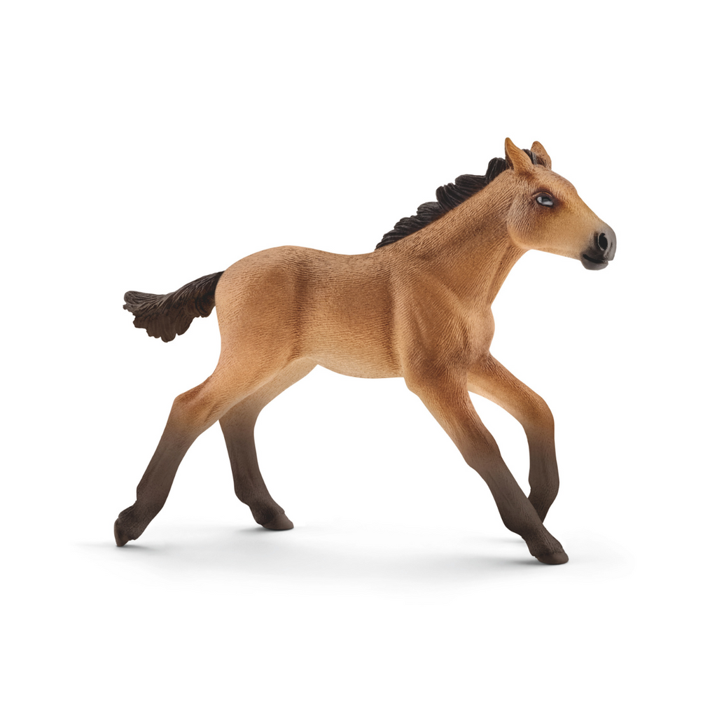 Poulain mustang (Bundle) 17085 FARM WORLD | schleich